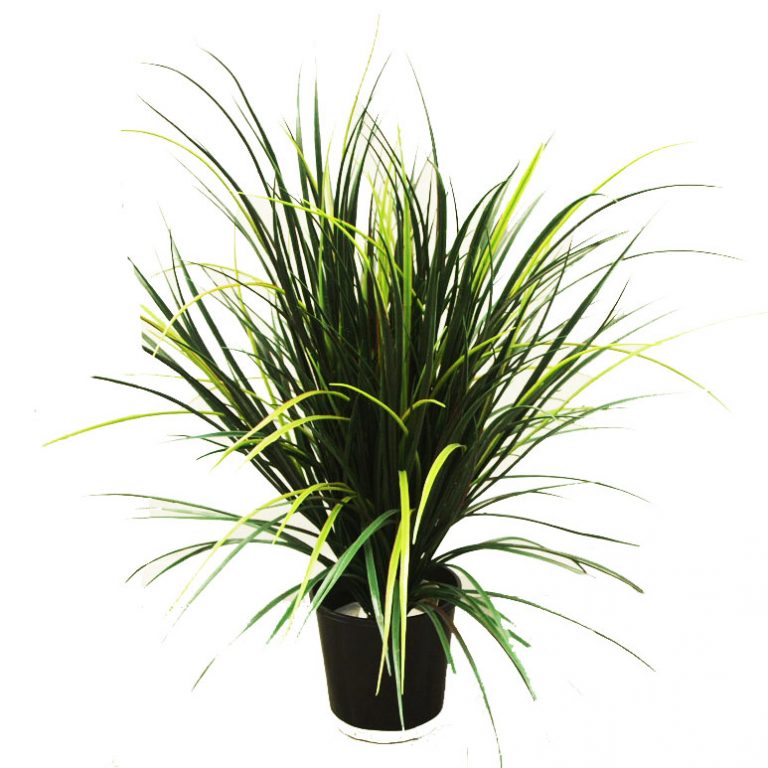 Artificial Double Grass Bush 80cm Potted