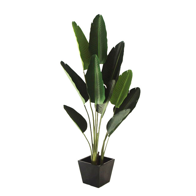 Artificial Palm, Best Artificial Palm Plants | Greenery Imports
