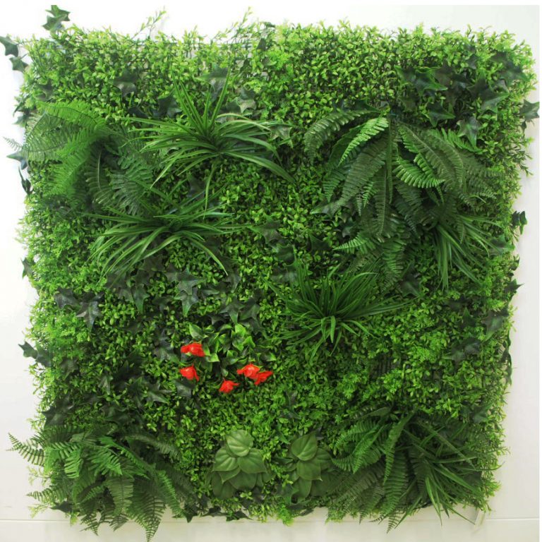 About Us | Greenery Imports NZ