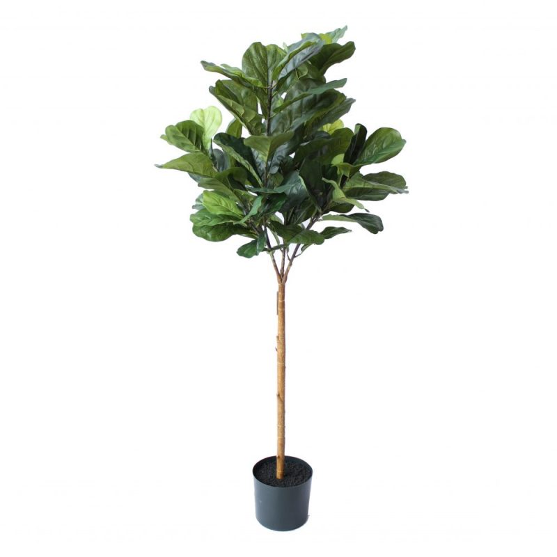 Artificial Fiddle Leaf Fig Trees from Greenery Imports