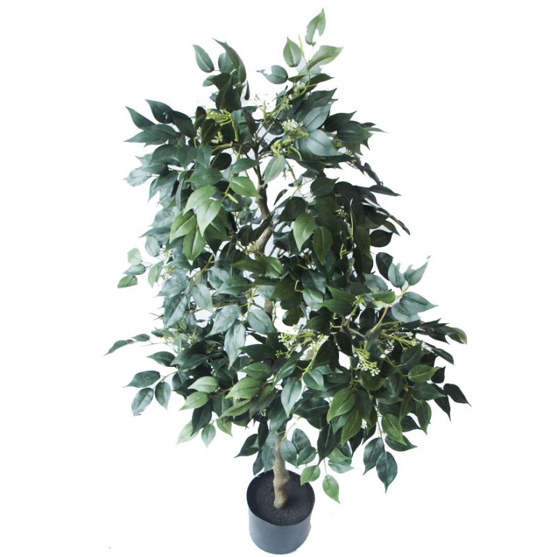 Ficus Ball Topiary Tree 1.2m