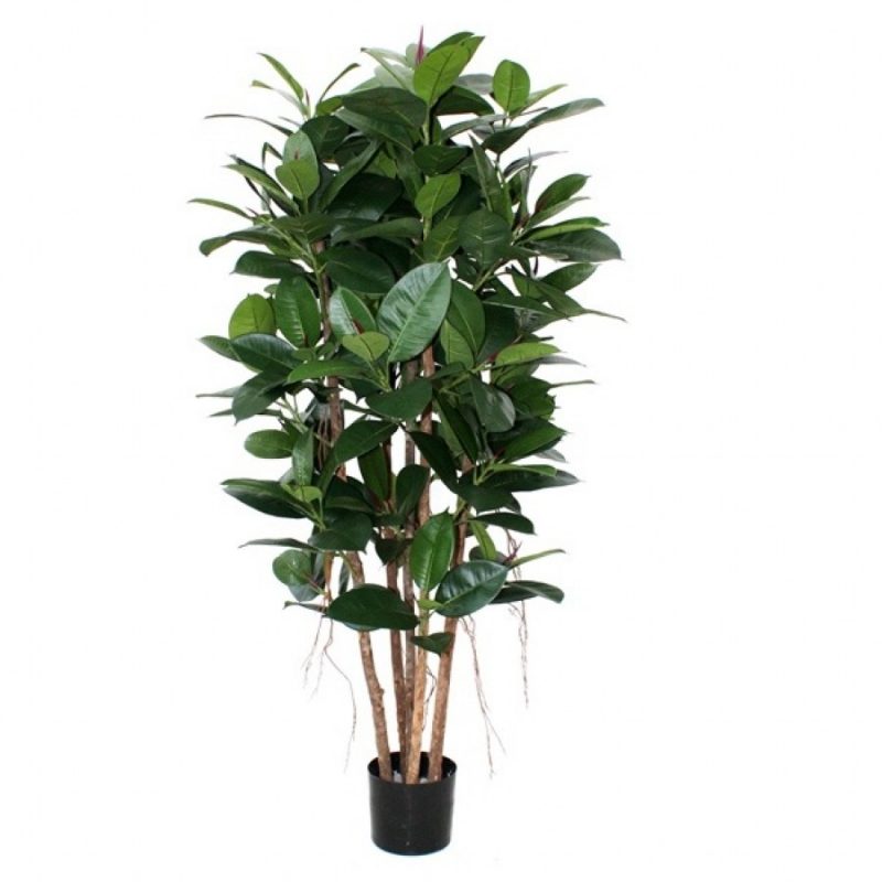 Artificial Rubber Tree 1.5m from Greenery Imports