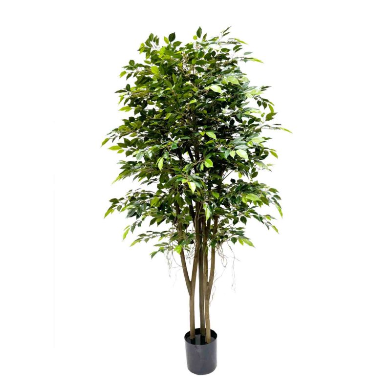 Artificial Mini Ficus Tree 180cm with Hanging Roots