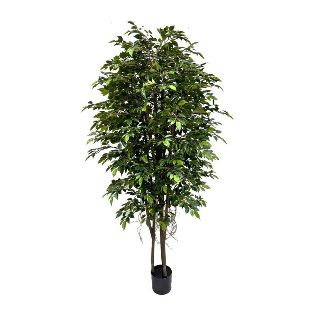 Artificial Mini Ficus Tree 220cm with Hanging Roots