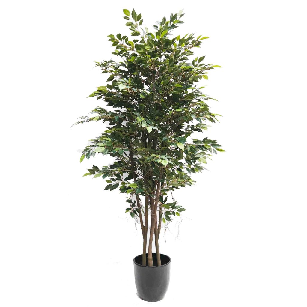 Artificial Mini Ficus Tree 220cm with Fibreglass Pot Black
