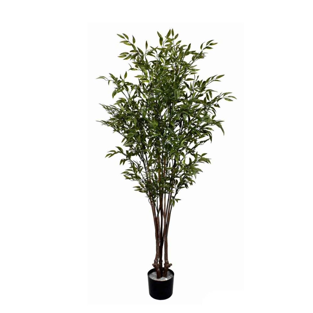 Ruscus Tree UV Stabilised 165cm | Greenery Imports NZ