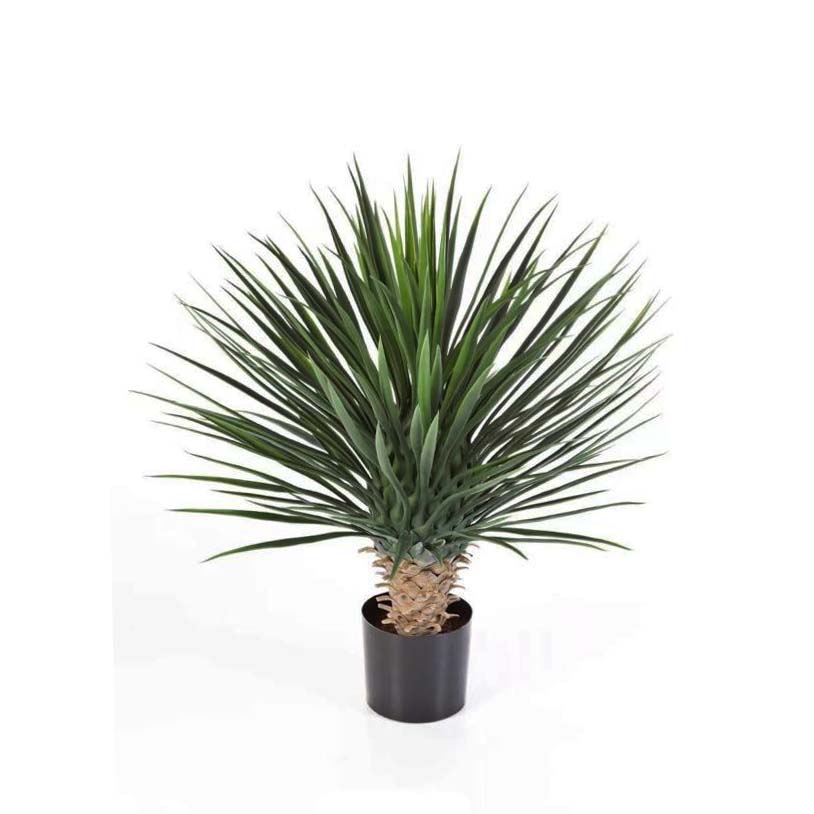 Yucca Tree 75cm UV Stabilised | Greenery Imports NZ