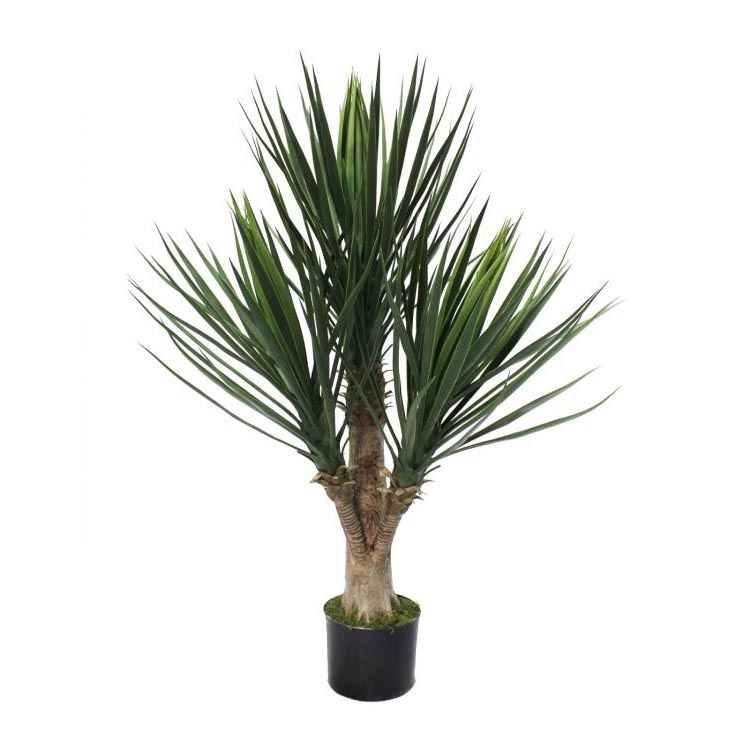 Yucca Tree Triple Stem100cm UV Stabilised | Greenery Imports NZ