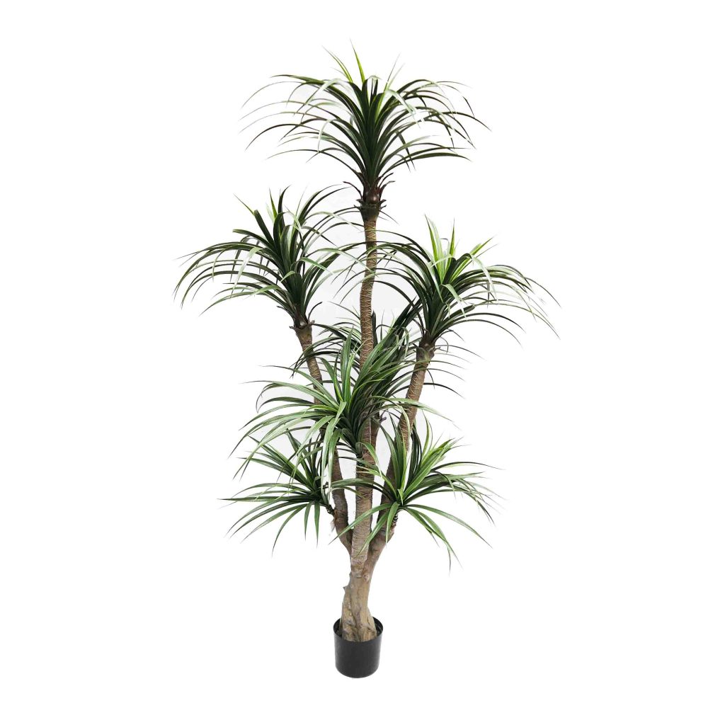 Giant Yucca Tree 2m UV Stabilised | Greenery Imports NZ