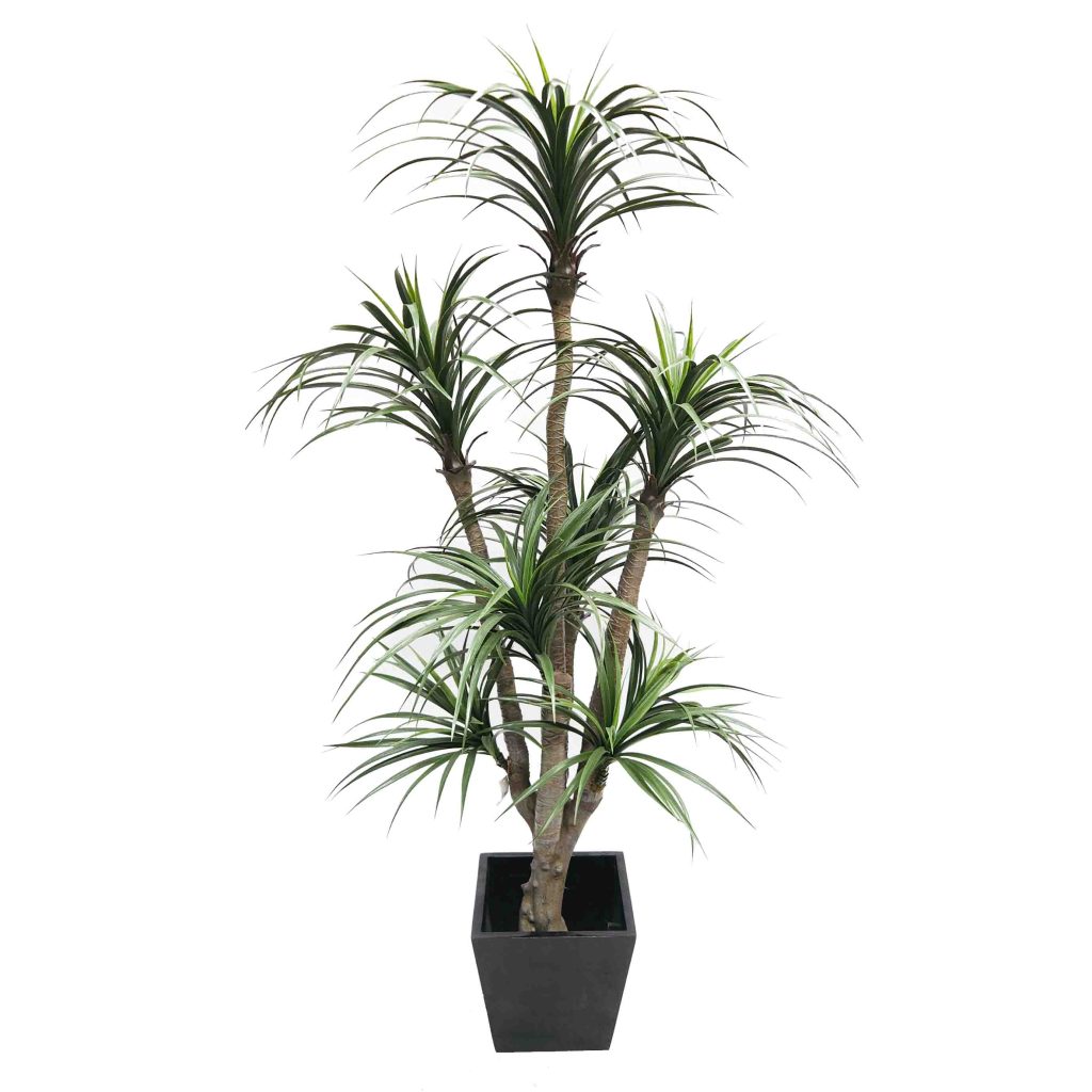 Giant Yucca Tree 2m UV Stabilised with Decorative Fiberglass Pot ...