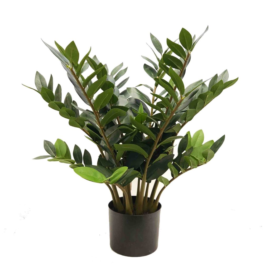 Zamiifolia Zanzibar Plant Real Touch 75cm | Greenery Imports NZ