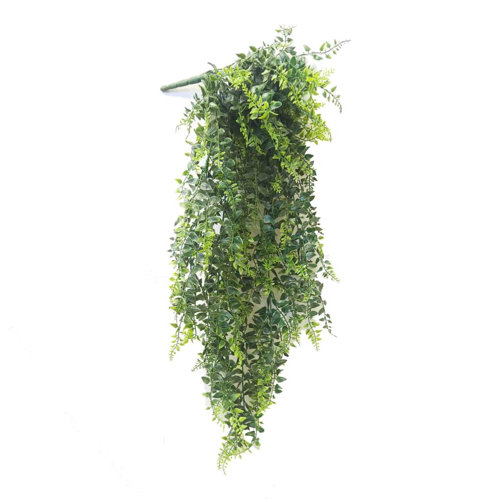 Bakers Fern 70cm UV Stabilised | Greenery Imports NZ