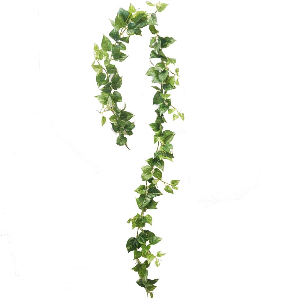 Pothos Garland 180cm UV Stabilised | Greenery Imports NZ