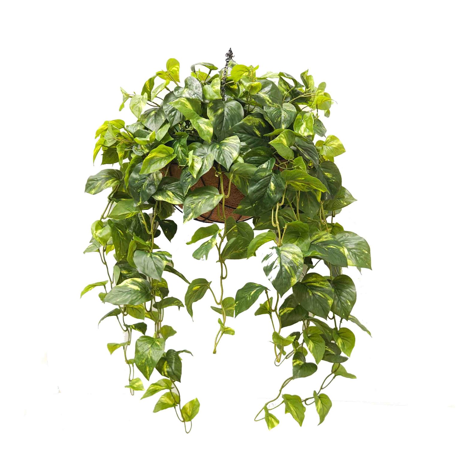 Double Pothos Vine Real Touch Leaves 88cm Hanging Basket | Greenery ...